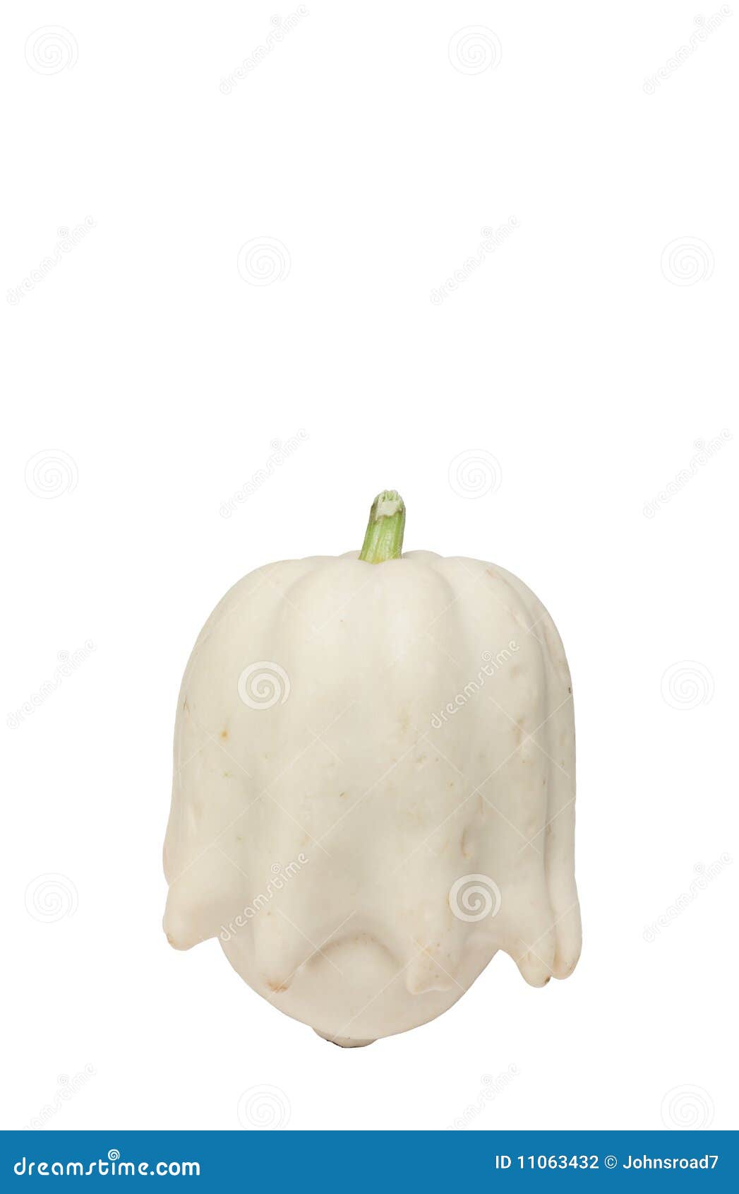 Ghost Gourd stock photo. Image of harvest, autumn, squash - 11063432