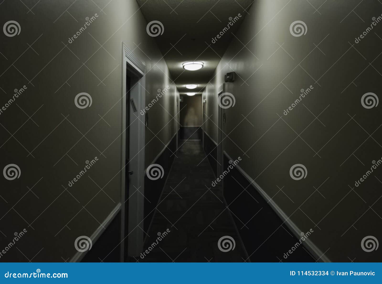 Ghost in the Hallway stock photo. Image of interior - 114532334