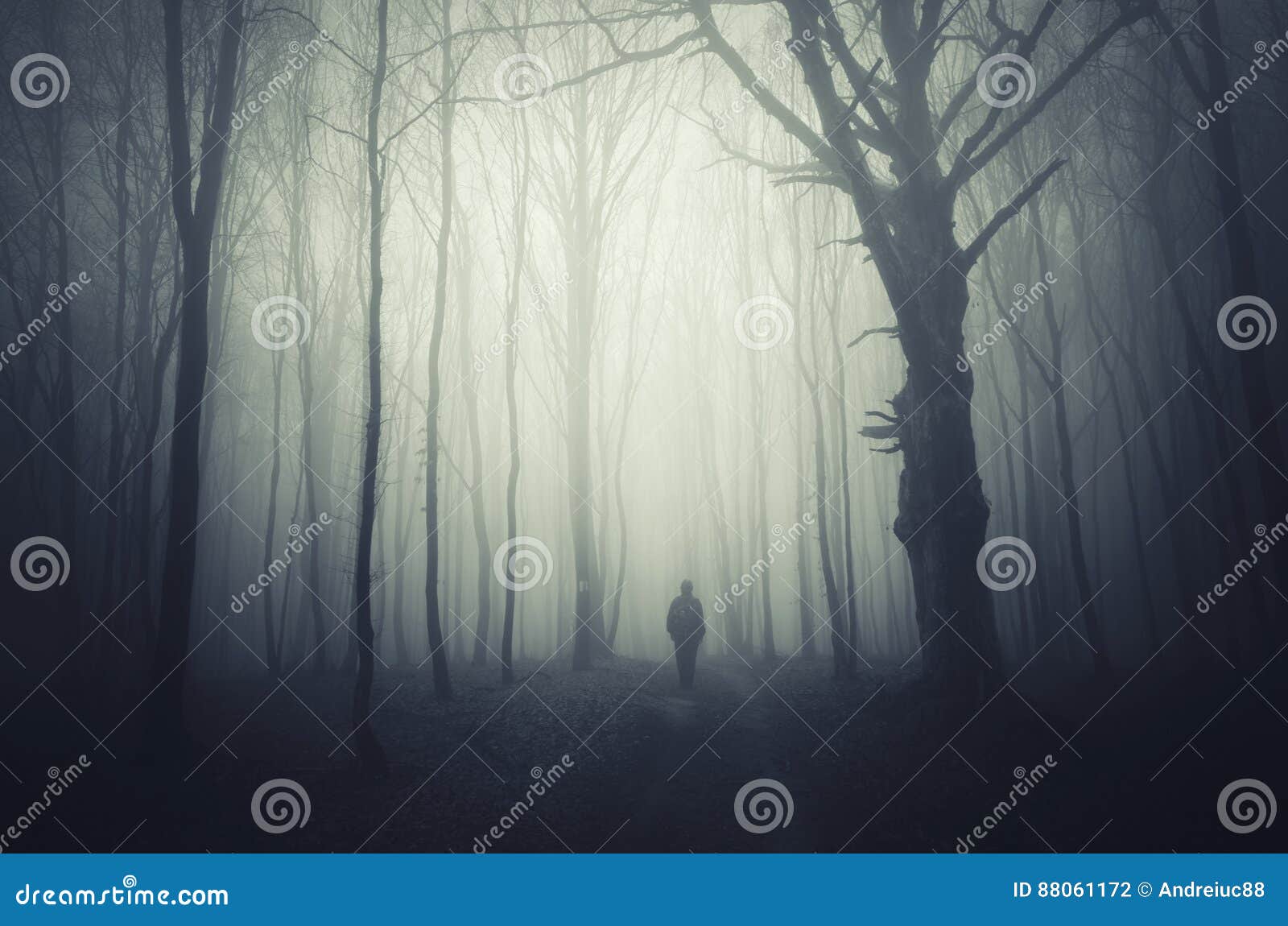 Ghost in haunted forest stock photo. Image of dark, mist - 88061172
