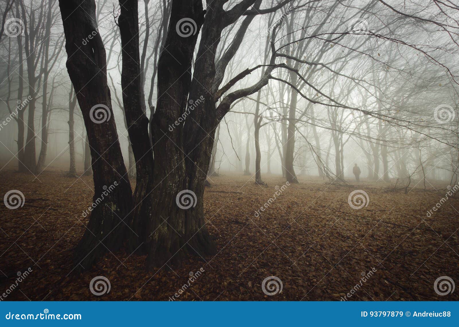 Ghost in Mysterious Haunted Forest with Fog Stock Image - Image of ...