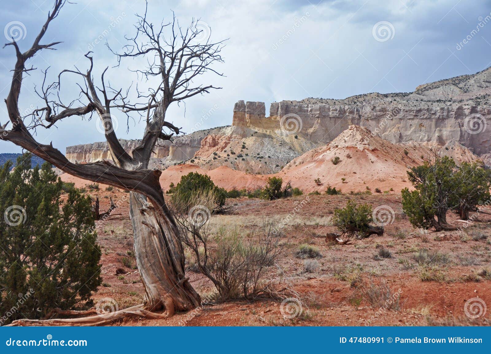 Ghost Ranch stock image. Image of rocks, persistence - 47480991