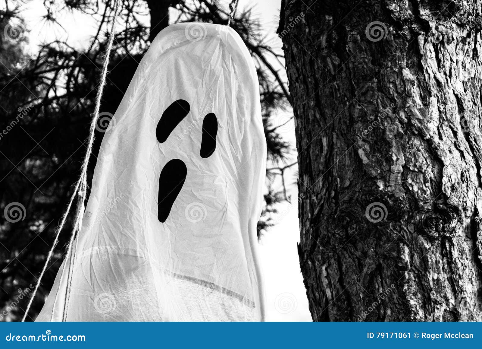 Ghost screams stock image. Image of fall, bark, ghost - 79171061