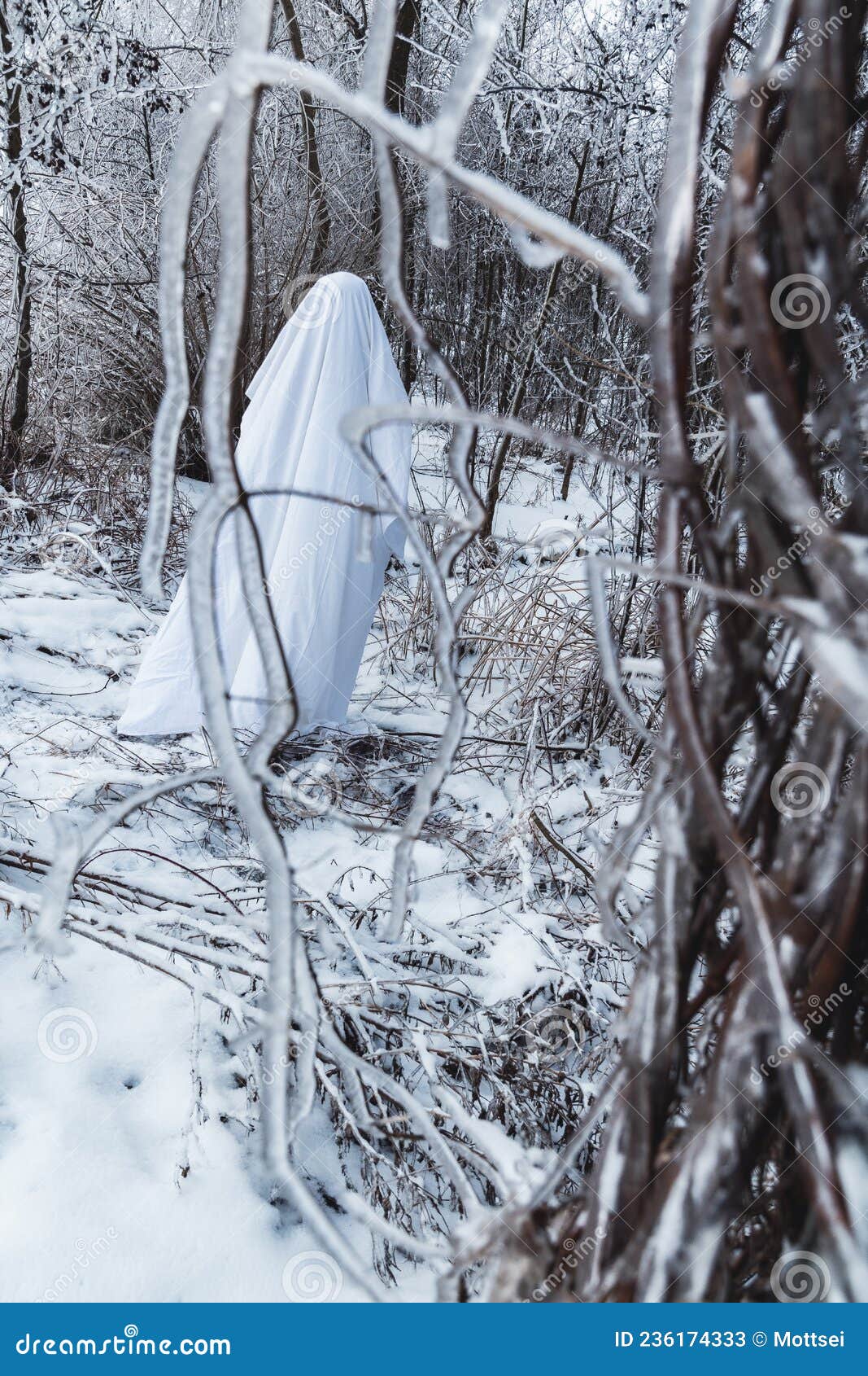 Ghost in the snowy woods stock image. Image of creepy - 236174333