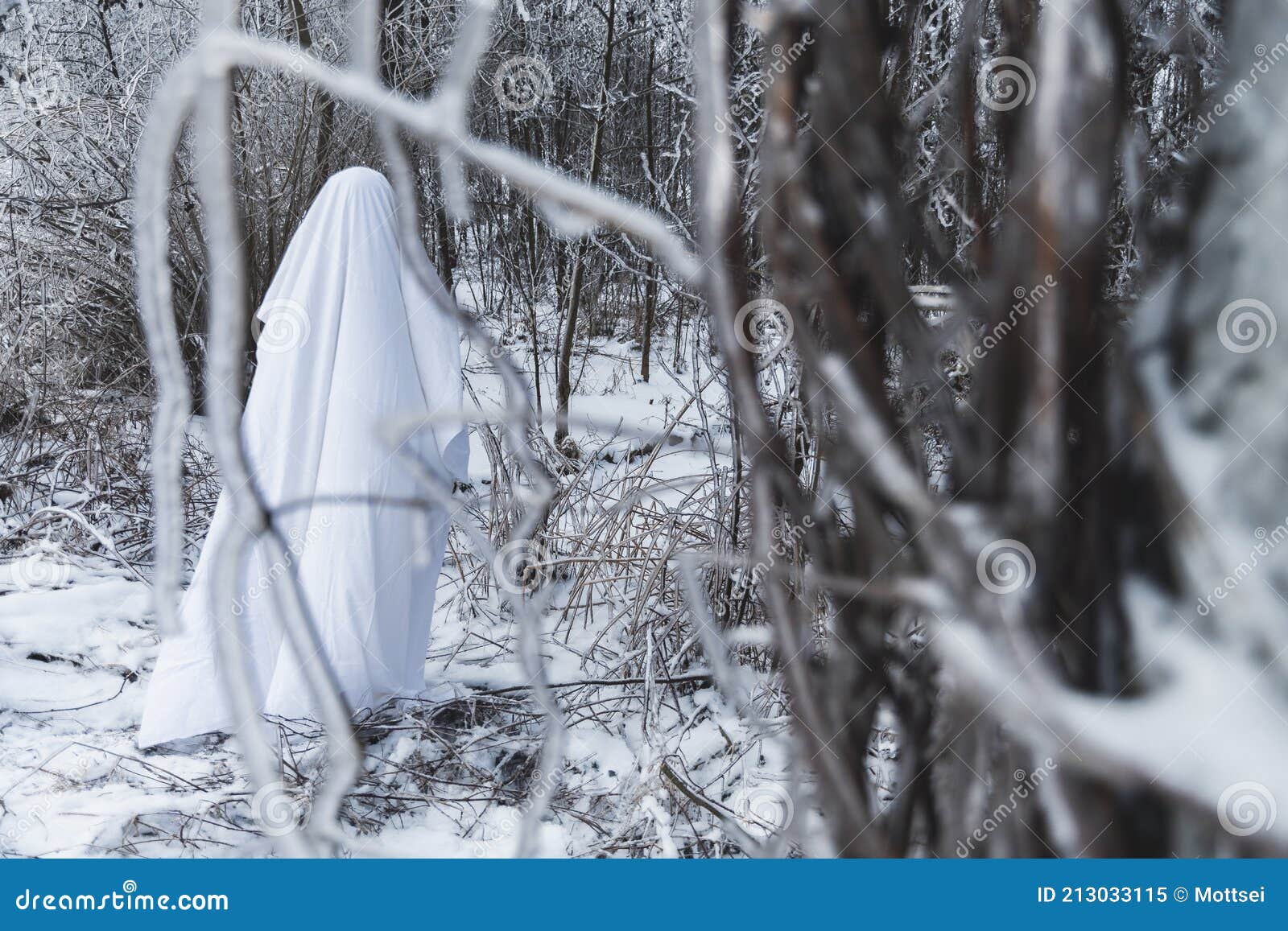 Ghost in the snowy woods stock image. Image of frozen - 213033115