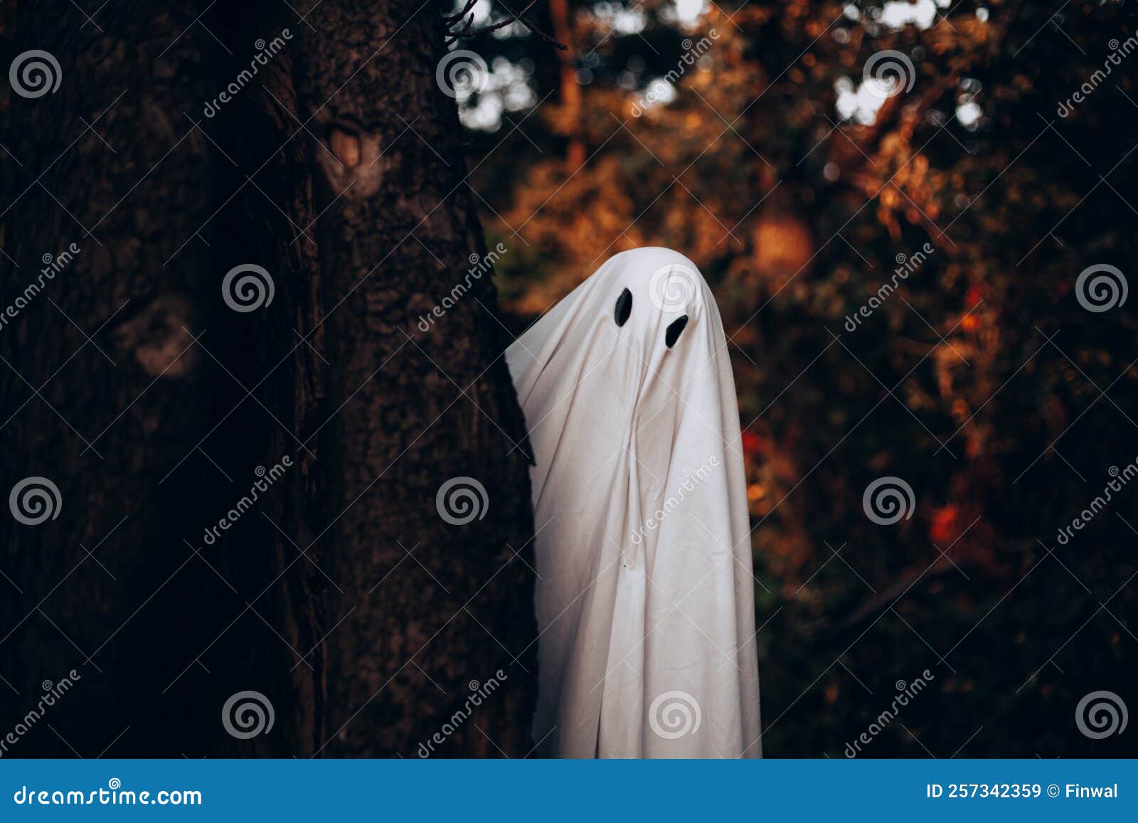 Ghost Standing Behind the Tree in Forest Stock Image - Image of ...