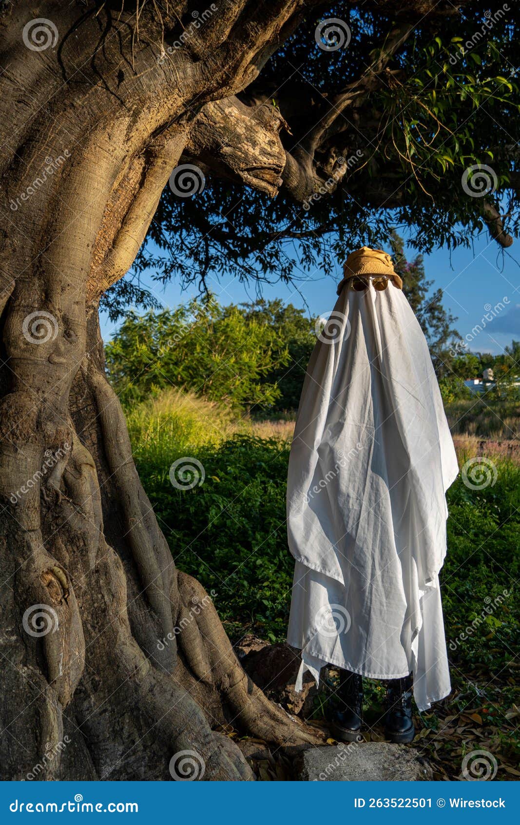 Ghost Standing in the Park - Halloween Concept Stock Image - Image of ...