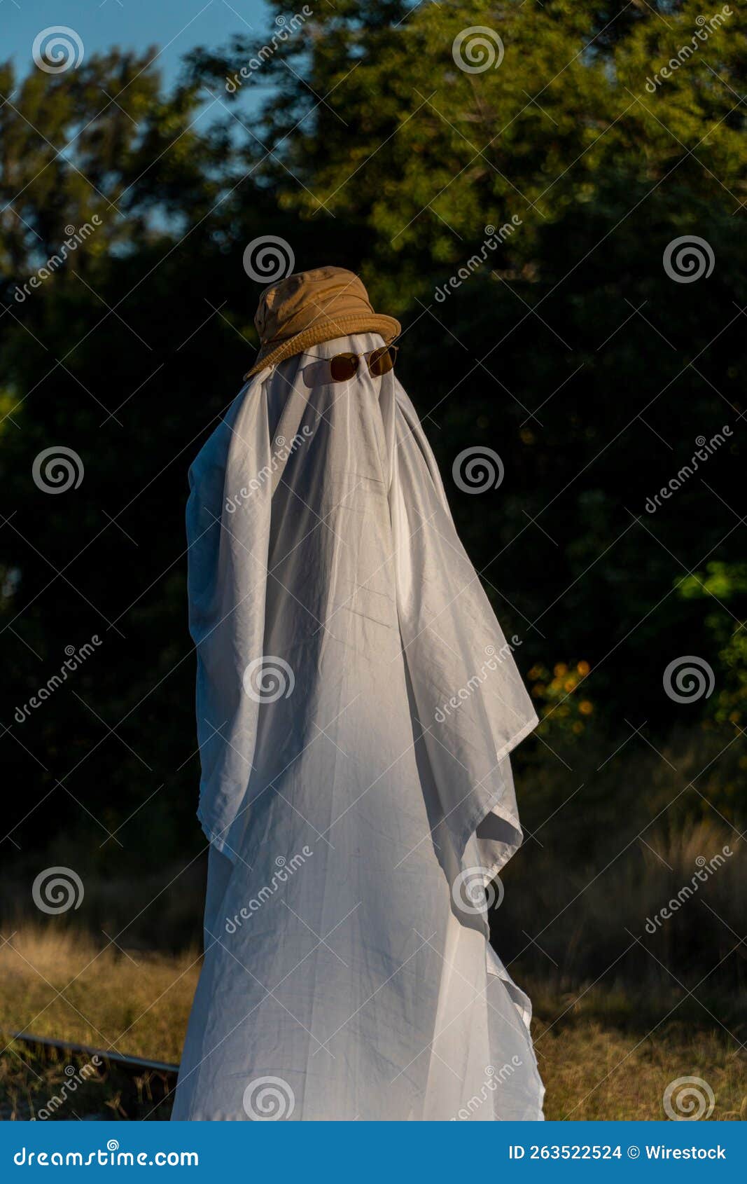 Ghost Standing in the Park - Halloween Concept Stock Photo - Image of ...