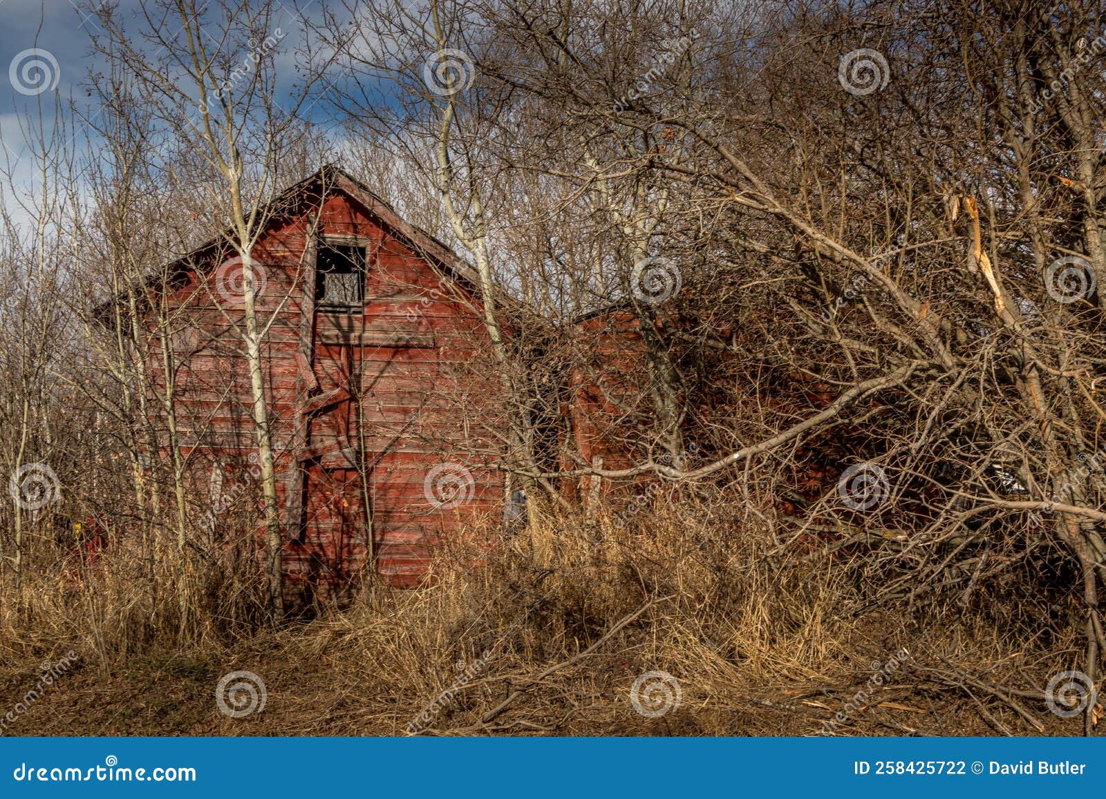 Ghost Town. Ardley, Red Deer County, Alberta, Canada Stock Photo ...