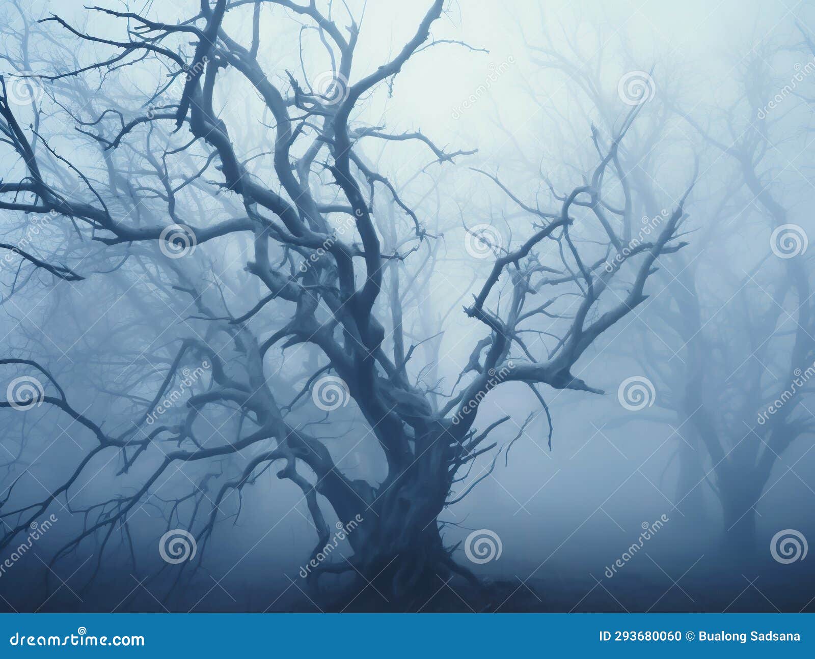 Ghost Trees Royalty-Free Cartoon | CartoonDealer.com #293680058