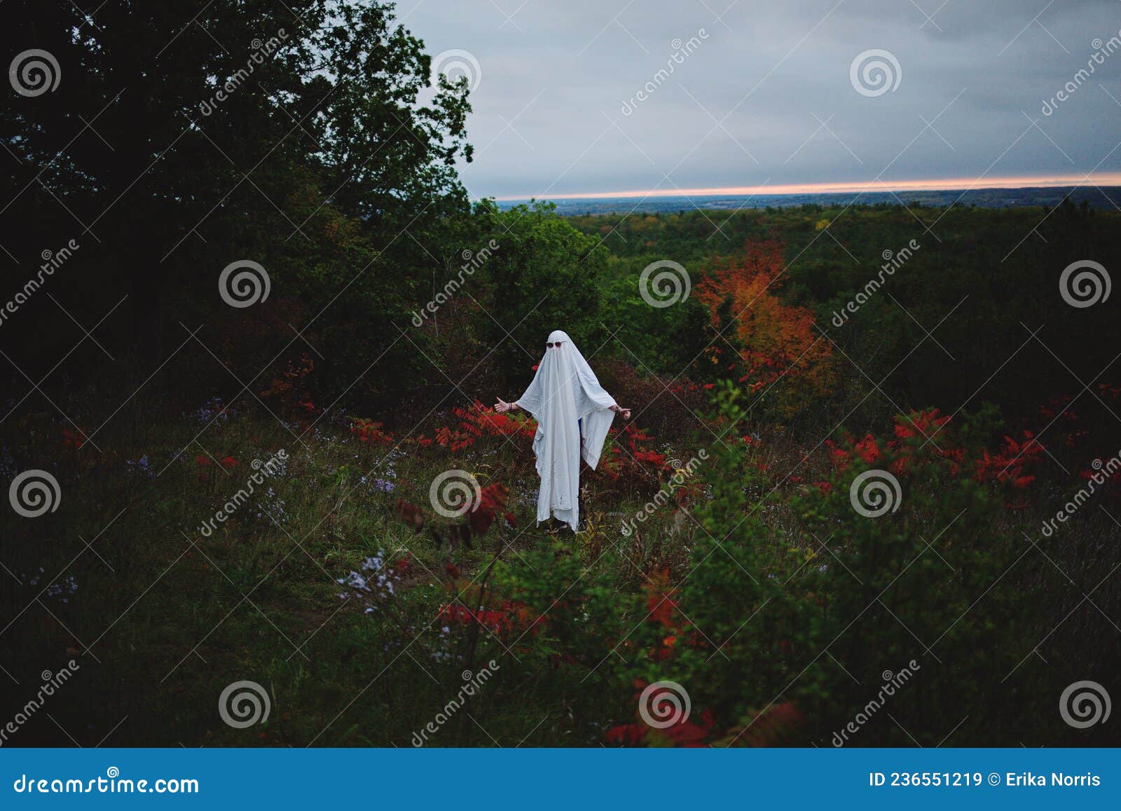 Canadian ghost stock image. Image of dress, seasonal - 236551219