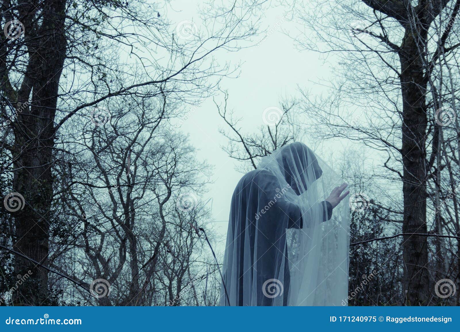 A Ghostly Hooded Figure Standing in a Forest in Winter Stock Image ...