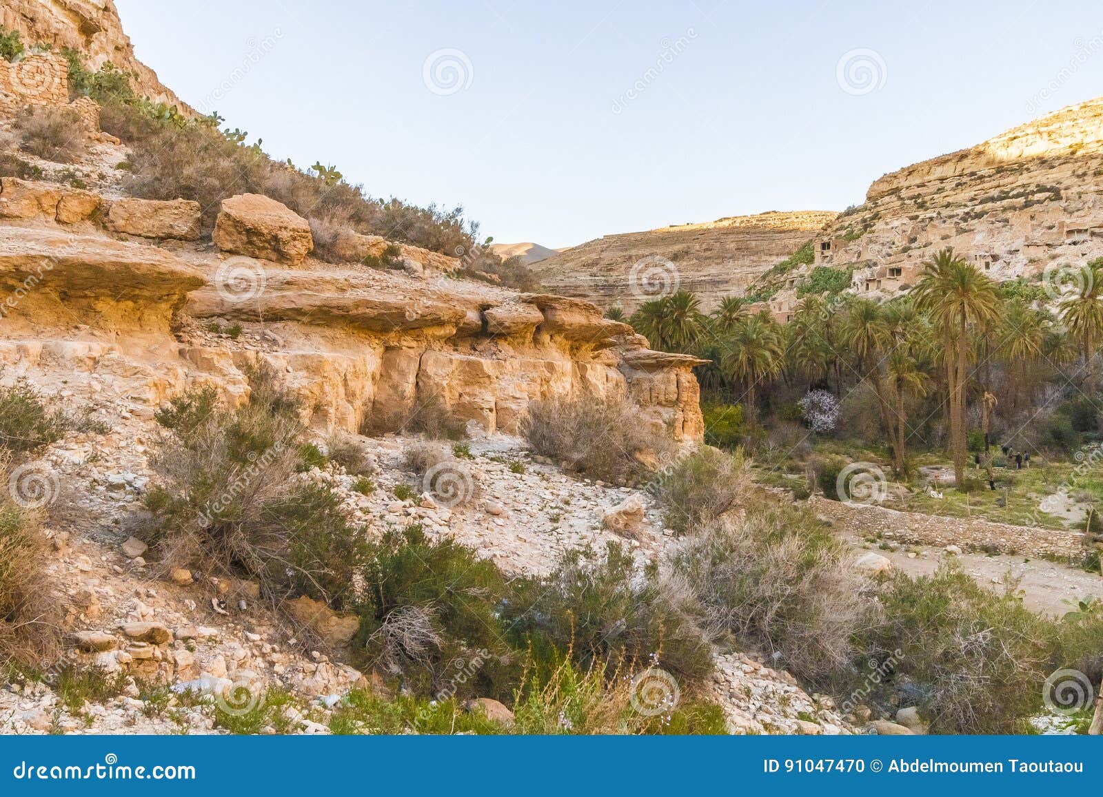 Ghoufi canyon stock photo. Image of house, nature, oasis - 91047470
