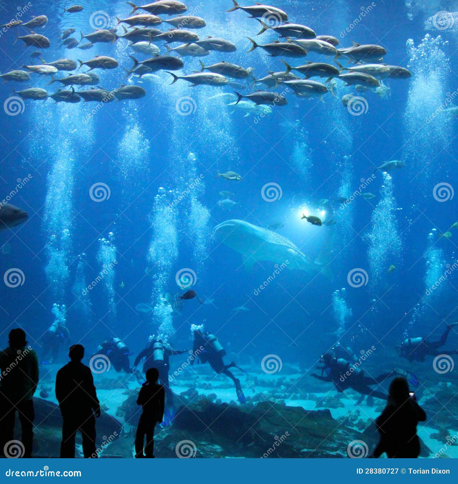 Giant Aquarium editorial photography. Image of georgia - 28380727