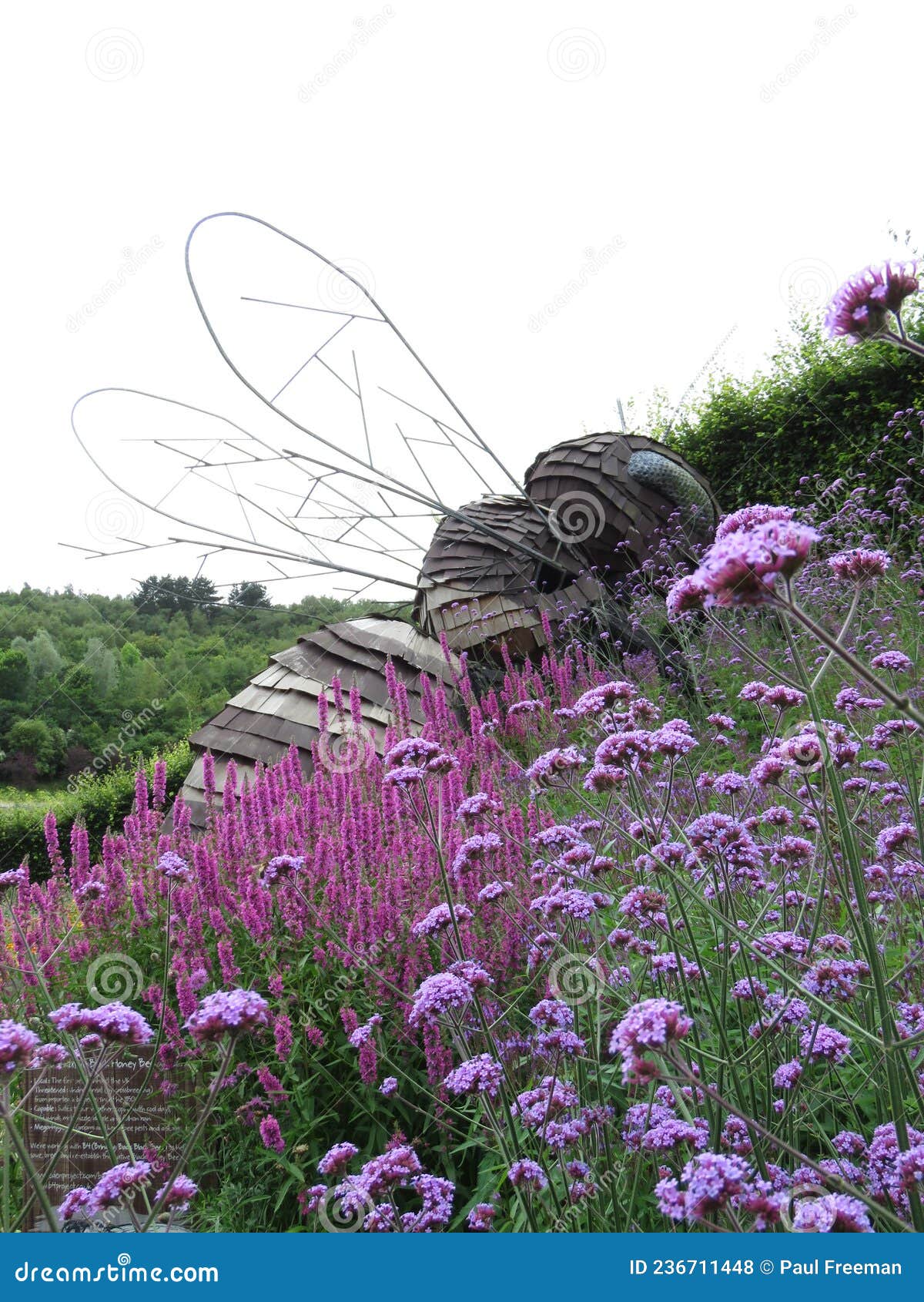 Giant Bee Eden Project Cornwall Stock Photo - Image of trees, green ...