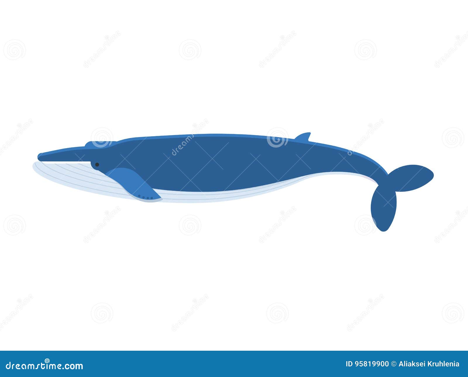 Giant Blue Whale Vector Illustration Stock Vector - Illustration of ...
