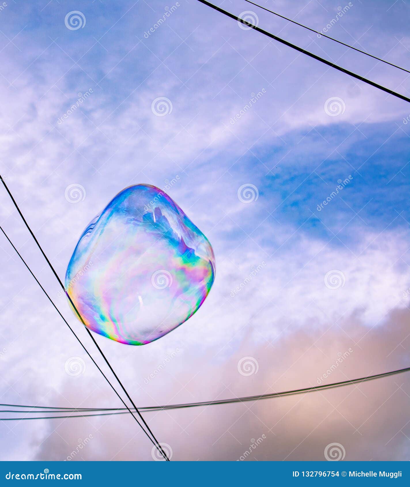 Danger in the Sky stock photo. Image of threatened, nature - 132796754