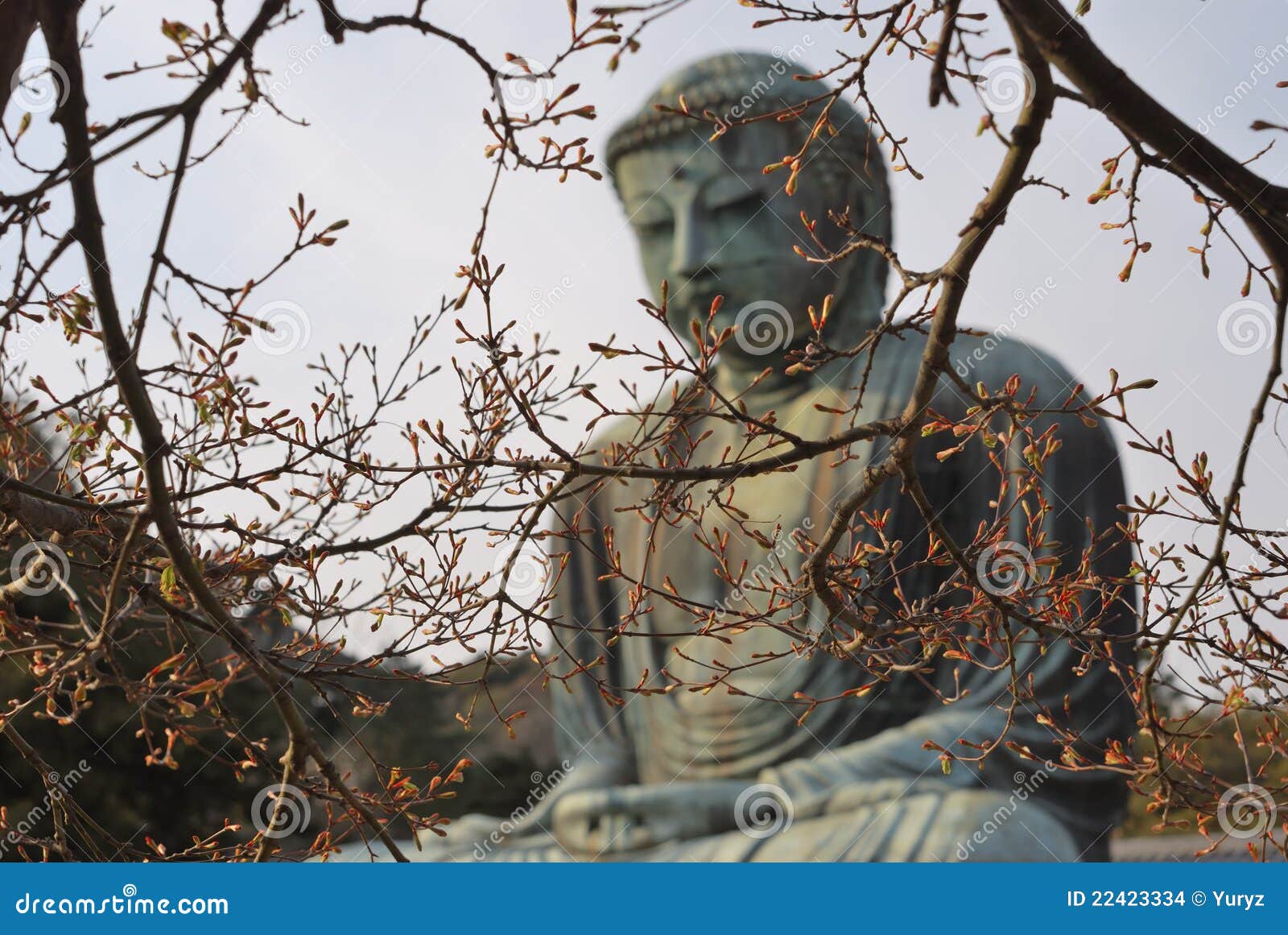Giant Buddha at spring stock photo. Image of tree, sculpture - 22423334