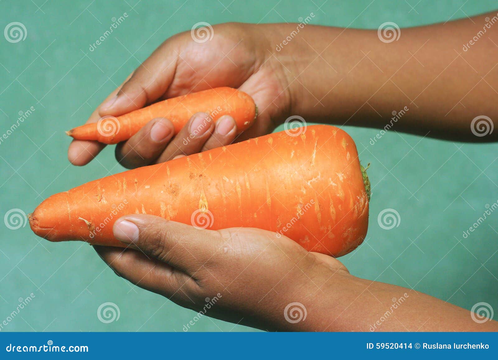 Carrot Genetic Modified Stock Photo | CartoonDealer.com #19105368