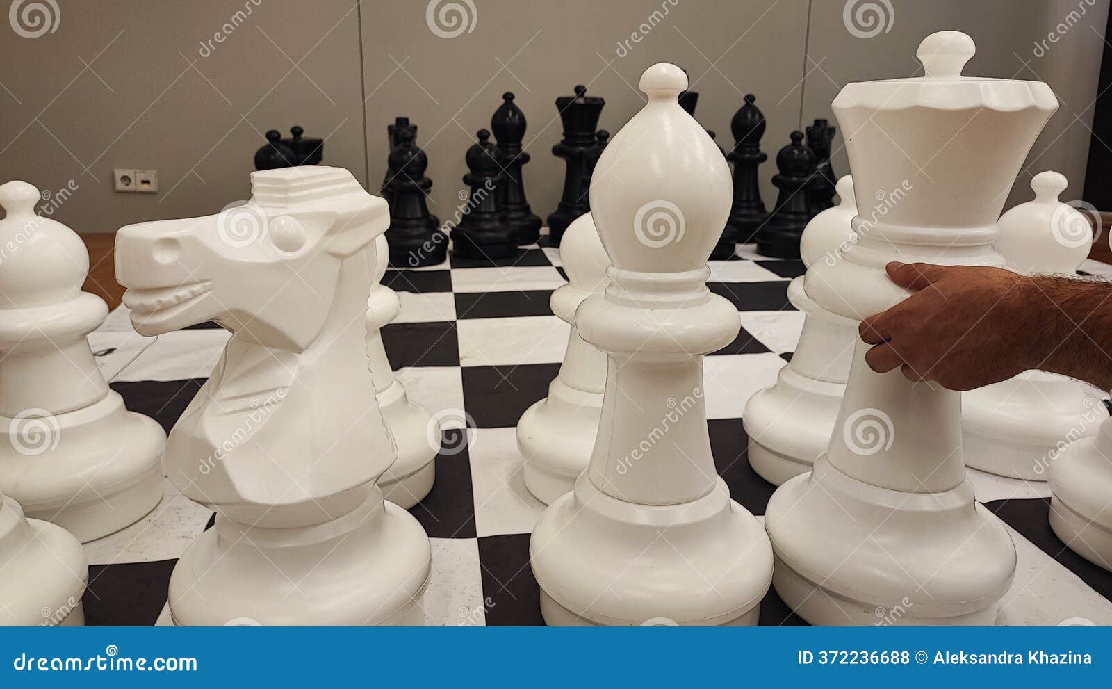 Giant Chess Pieces Royalty-Free Stock Image | CartoonDealer.com #63348970