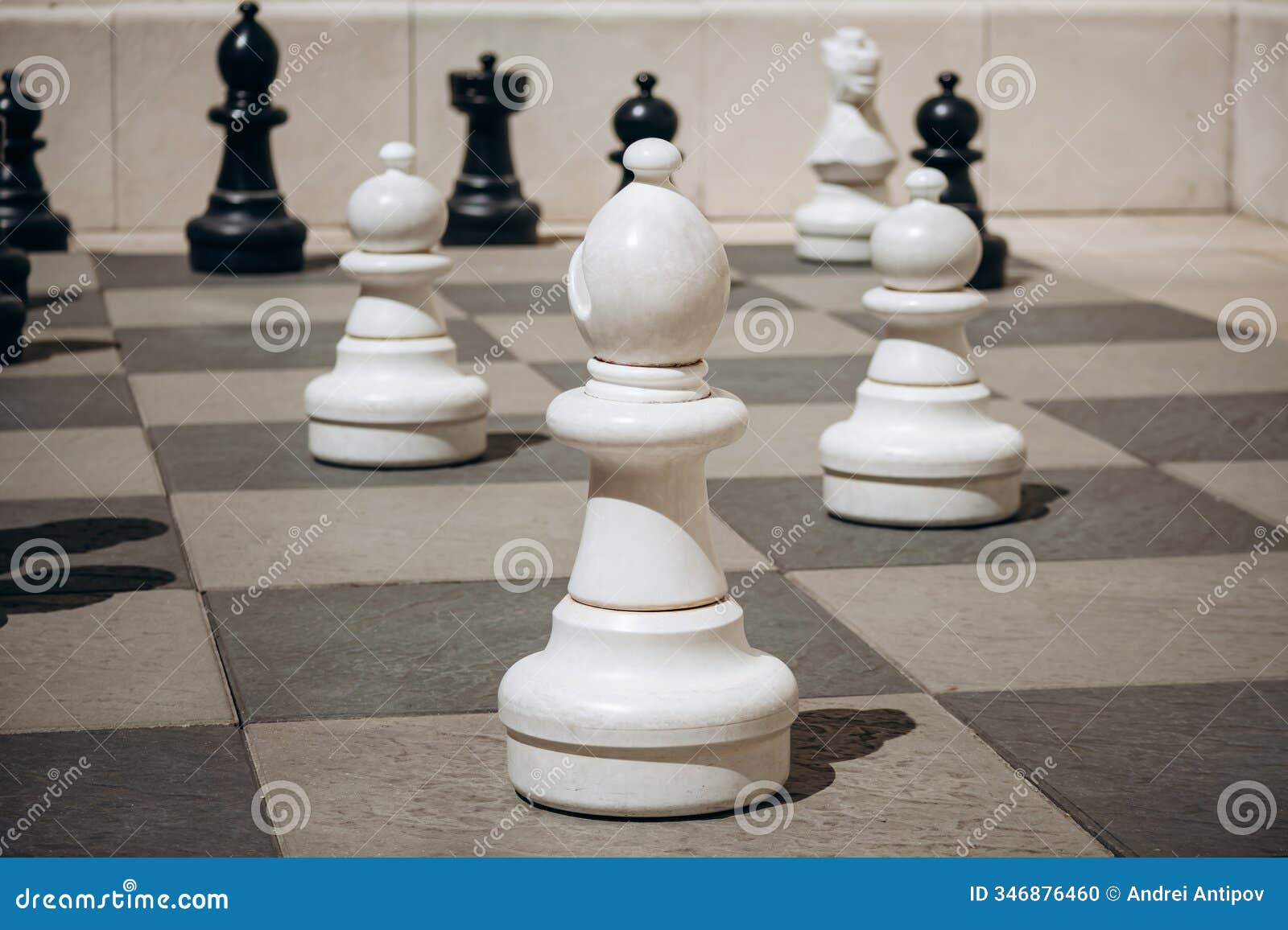 Giant Chess Set Stock Photography | CartoonDealer.com #166419362