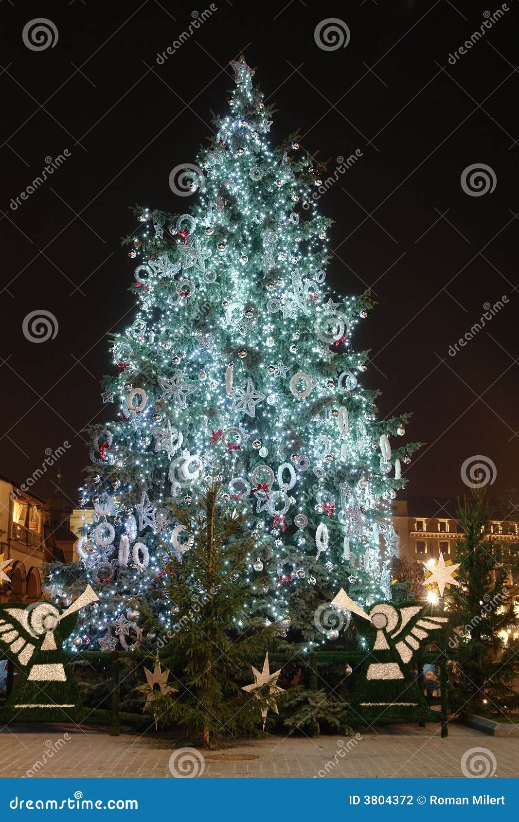 Giant christmas tree stock photo. Image of year, coniferous - 3804372