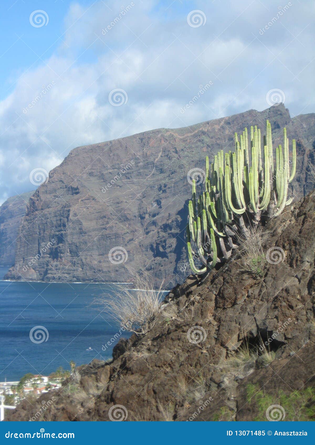 Giant cliffs stock image. Image of canarian, mountain - 13071485