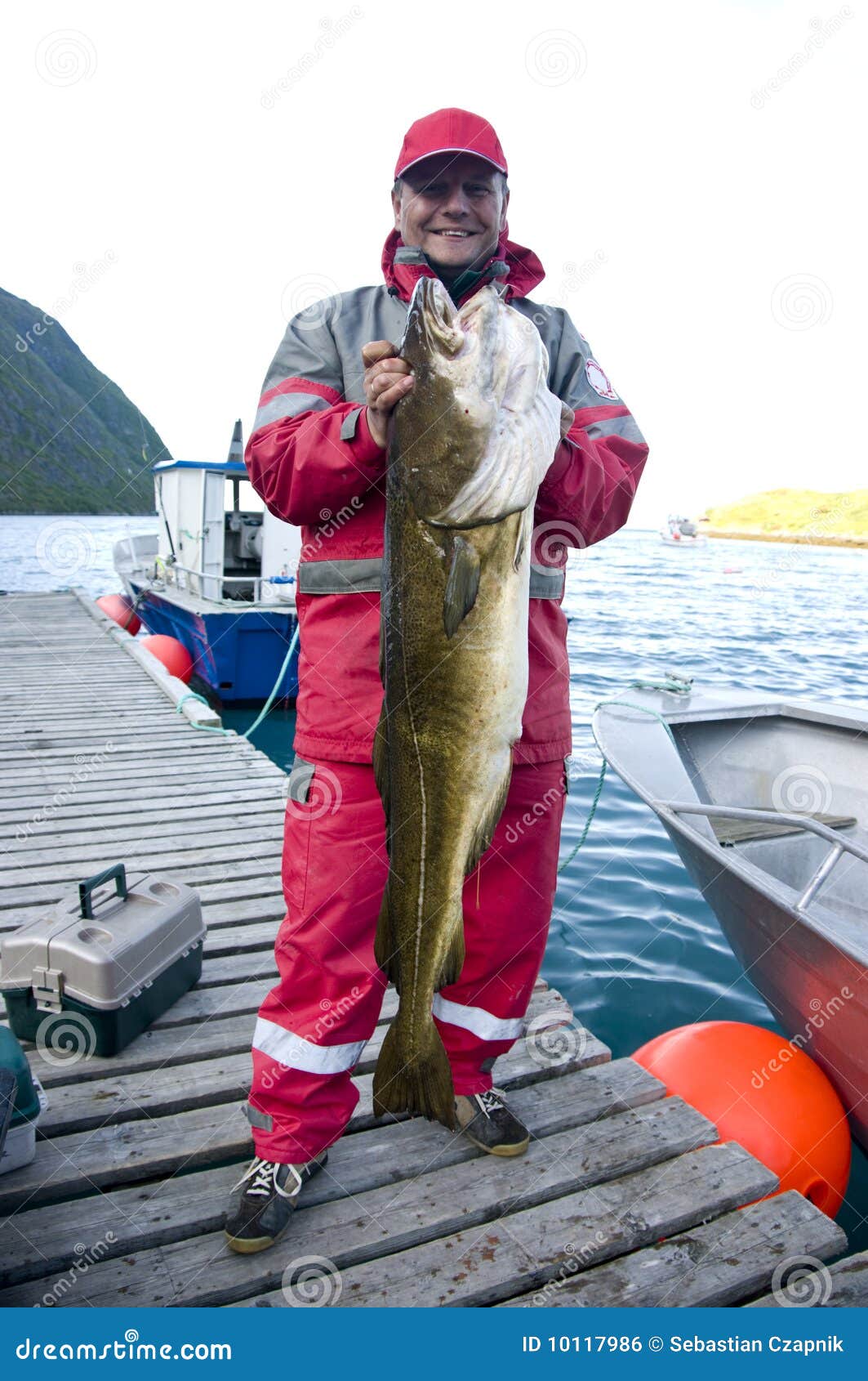 Giant cod stock photo. Image of large, smile, boats, successful - 10117986