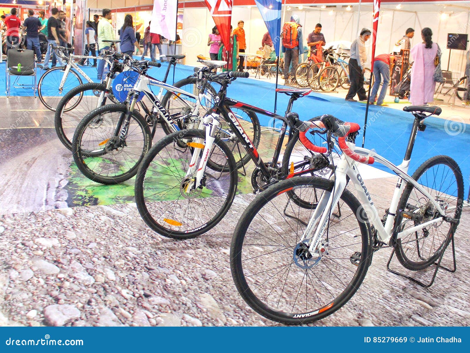 Ice Cycles Royalty-Free Stock Photo | CartoonDealer.com #66721383