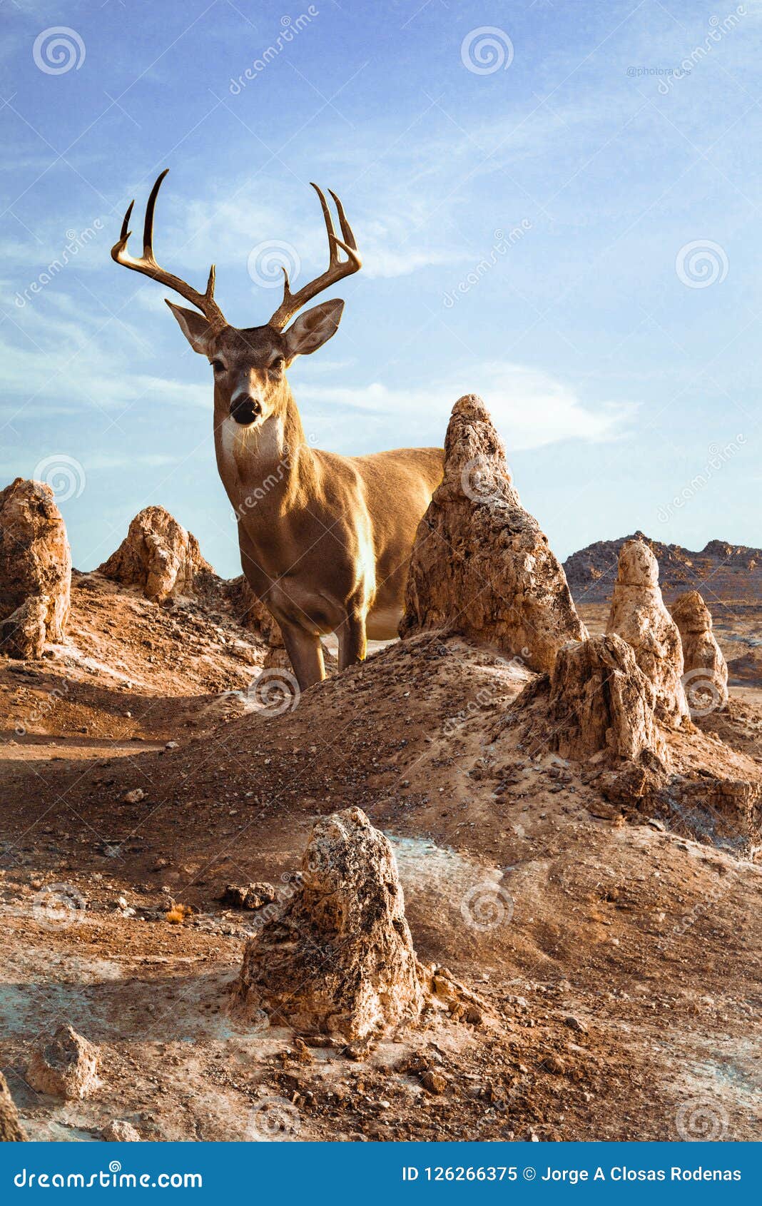 Giant deer in a desert stock image. Image of edit, ciervo - 126266375
