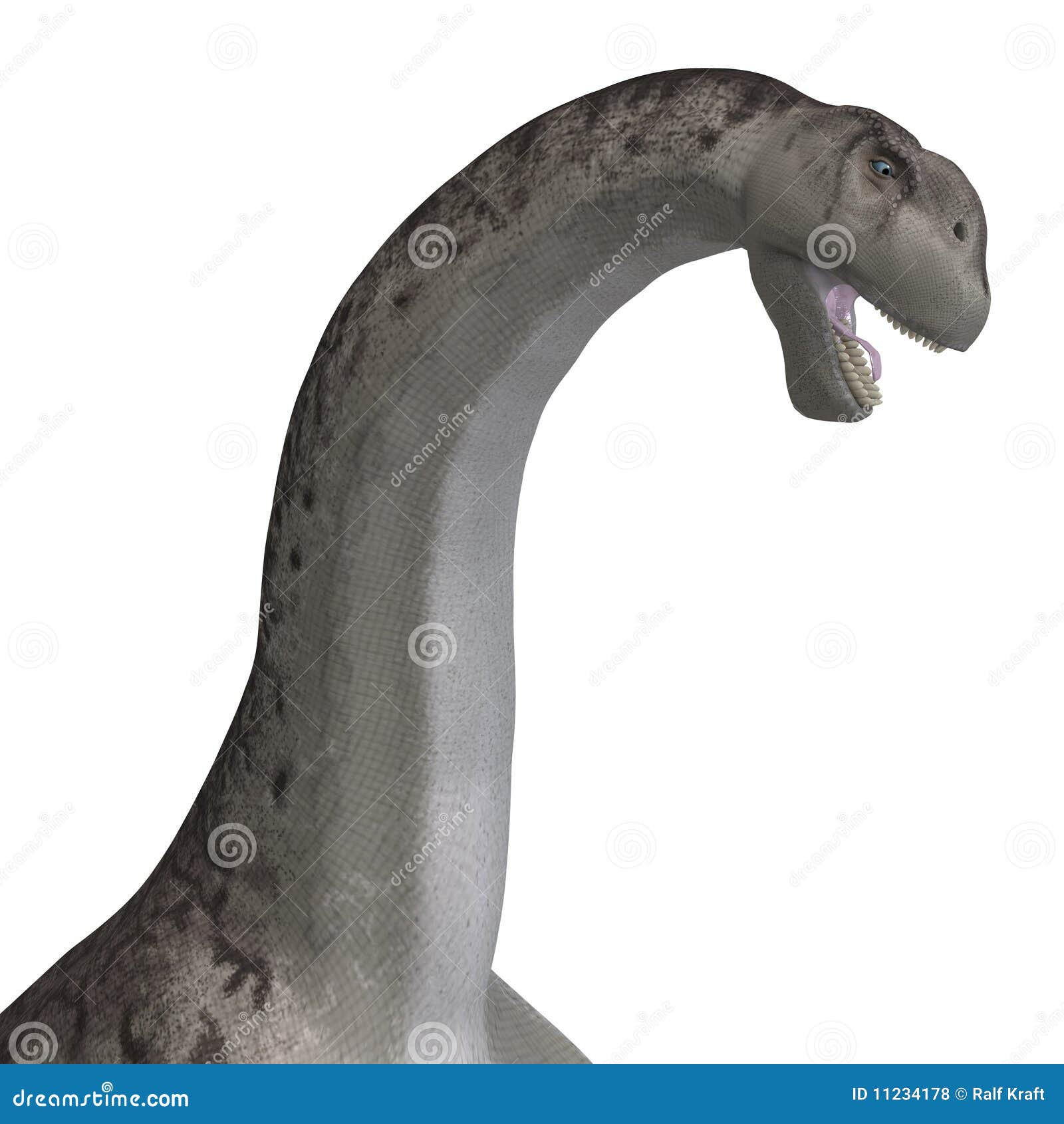 Giant Dinosaur Camasaurus with Clipping Path Over Stock Illustration ...