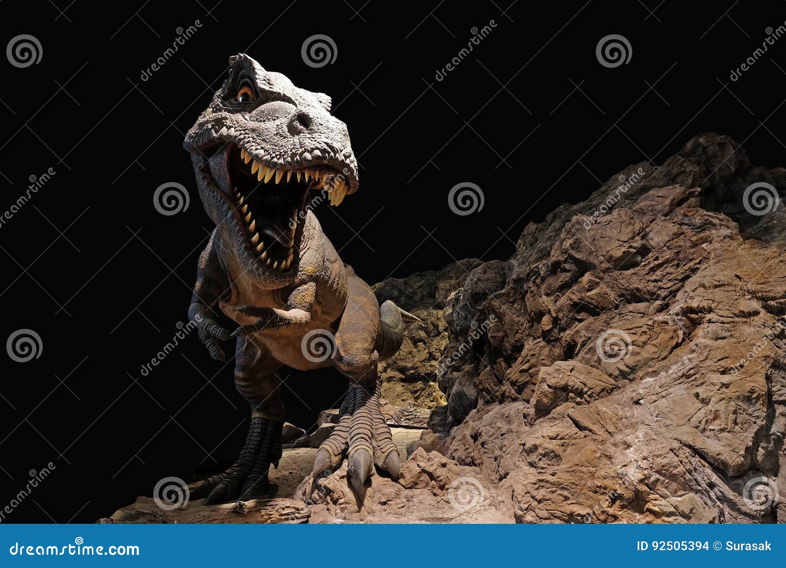 Giant Dinosaur Or T-rex Skeleton Royalty-Free Stock Photography ...