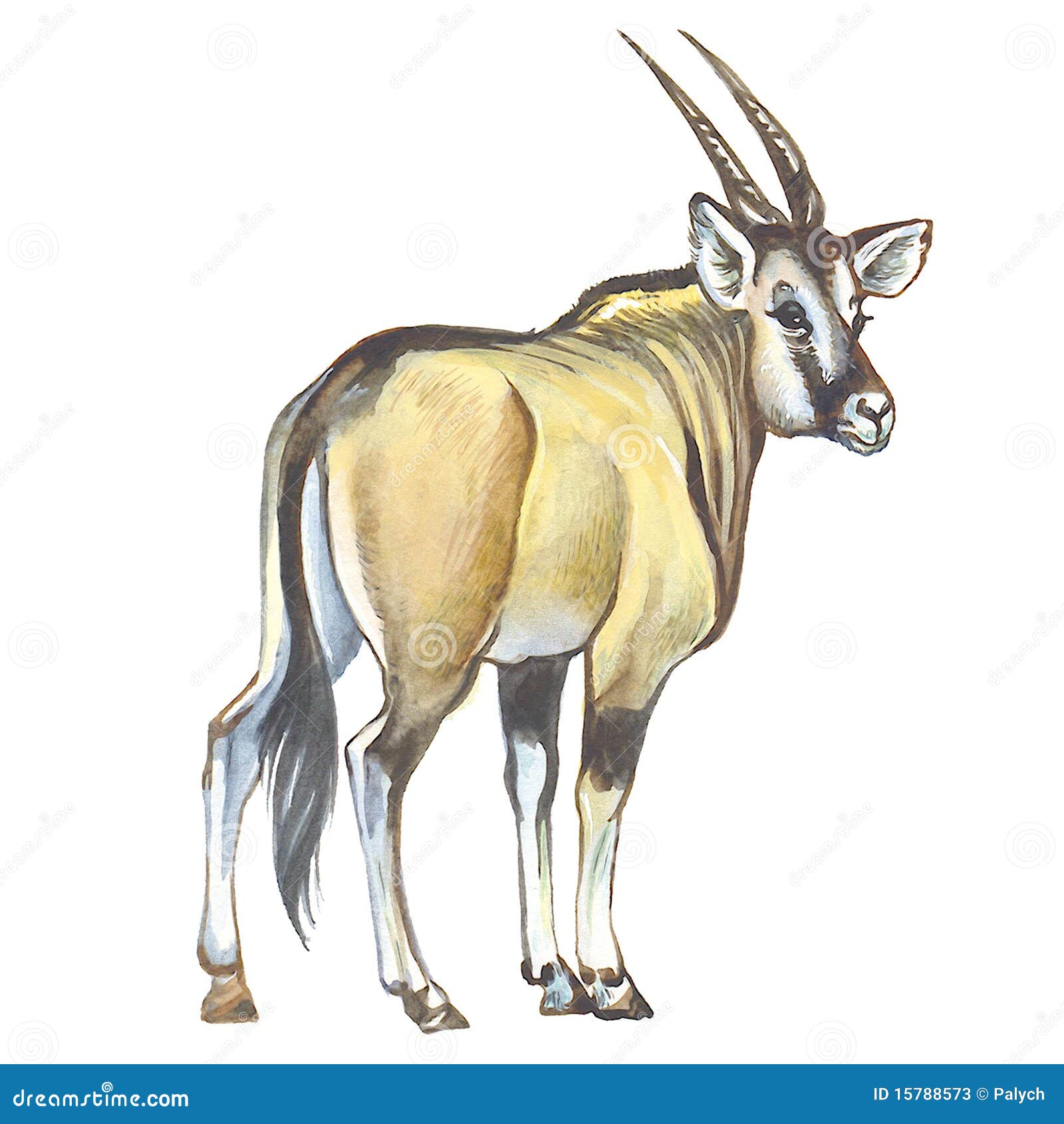 The Giant Eland Taurotragus Derbianus, Hand Draw Sketch Vector ...
