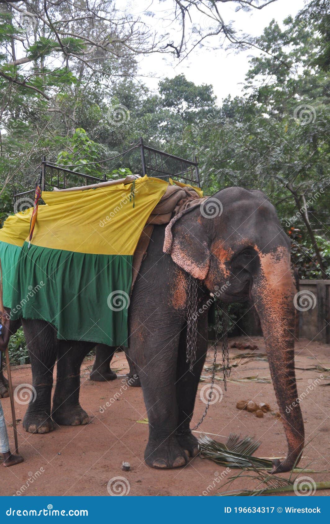 Giant elephant with chains stock image. Image of chain - 196634317