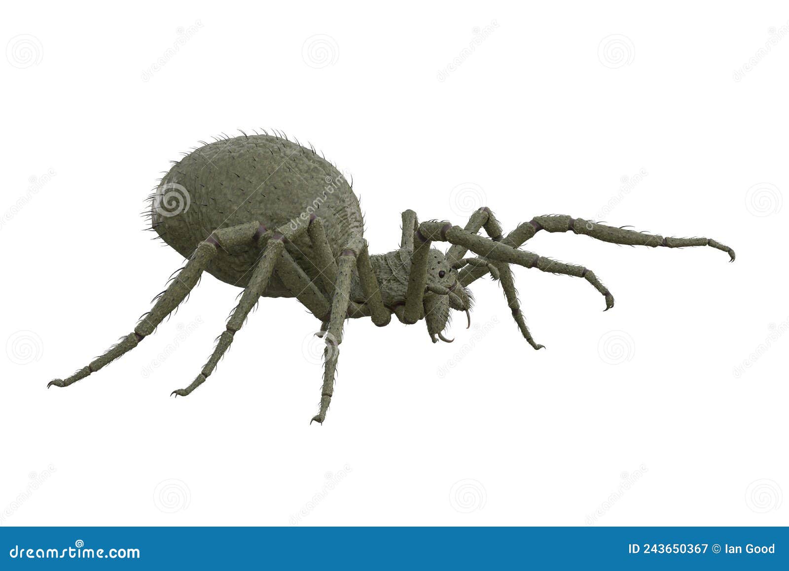 Giant Fantasy Monster Spider in Attack Pose. 3D Rendering Viewed from ...