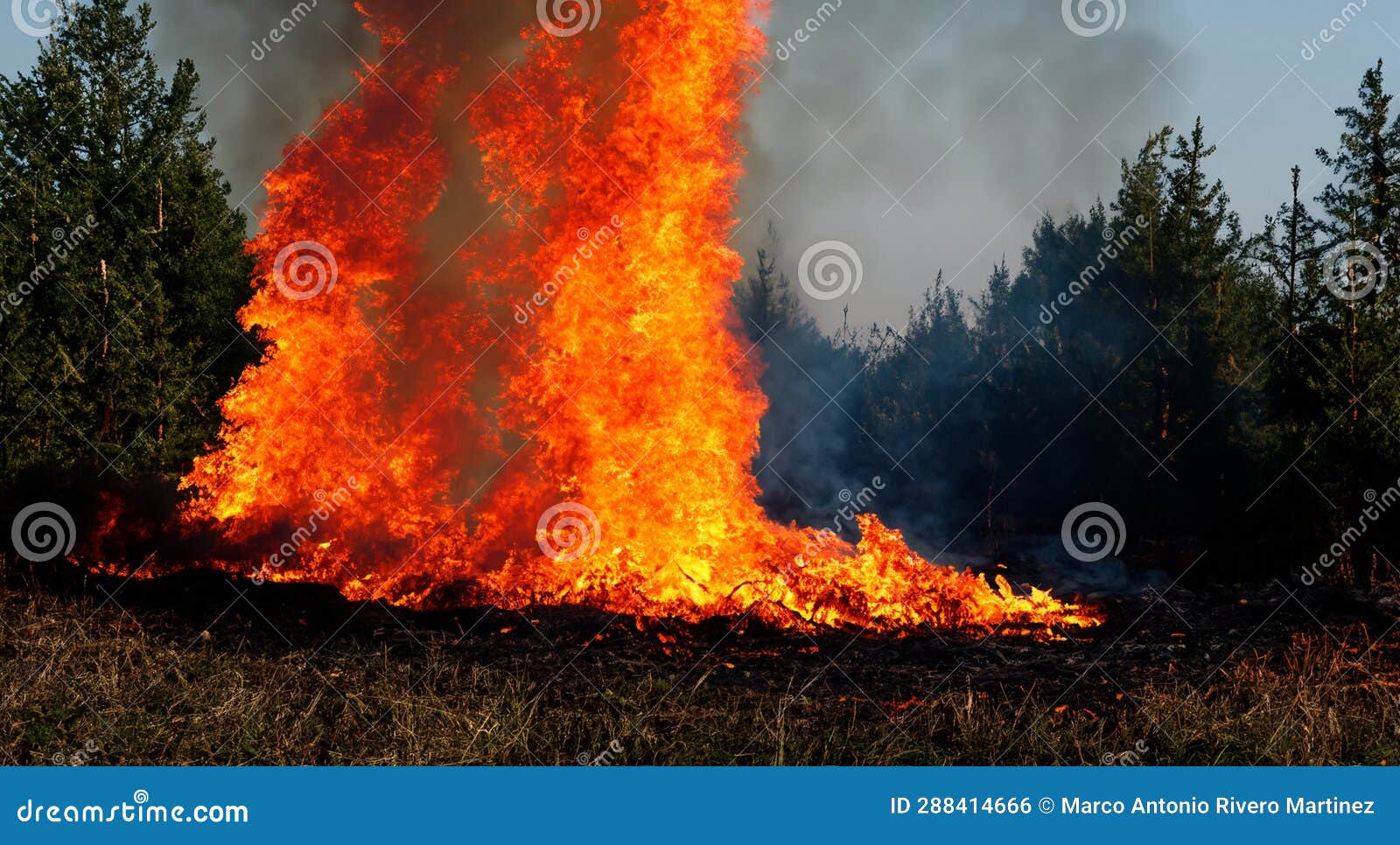Giant Fire Stock Photography | CartoonDealer.com #78982136
