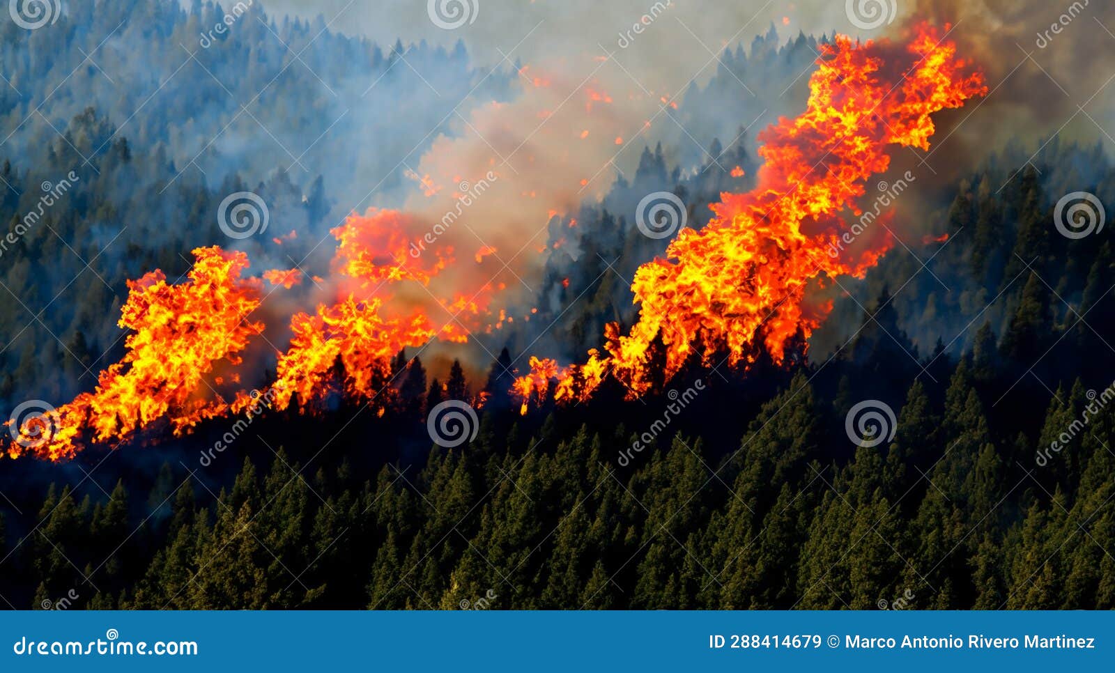 Giant Fire in the Middle of the Leafy Forest with High Flames and Black ...