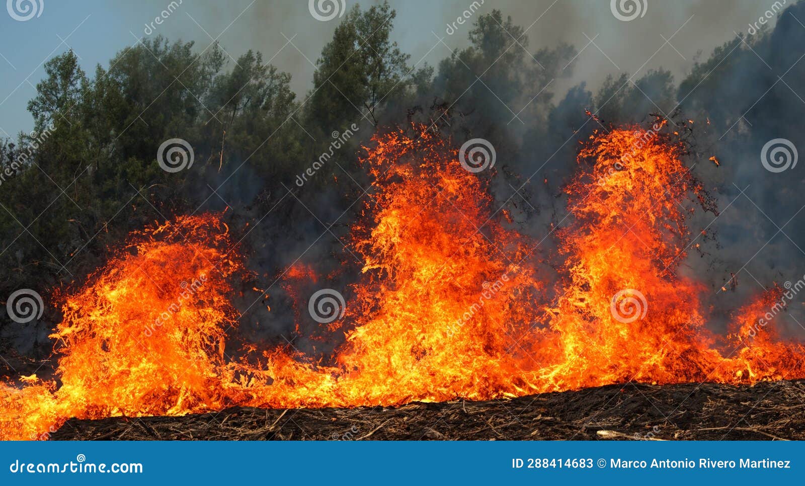 Giant Fire Stock Photography | CartoonDealer.com #78982136
