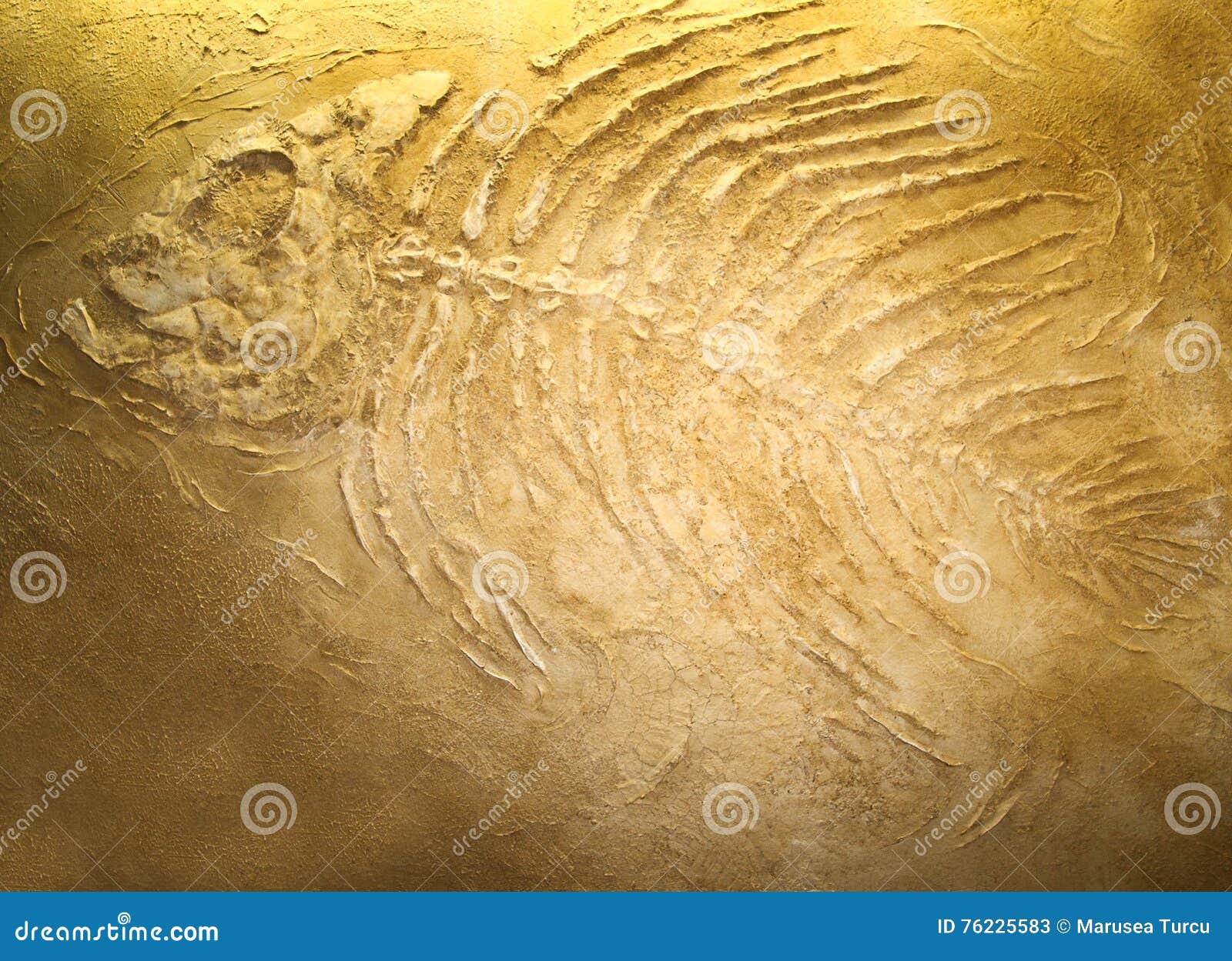 Two Fish Fossils In Sandstone Slab Stock Photography | CartoonDealer ...