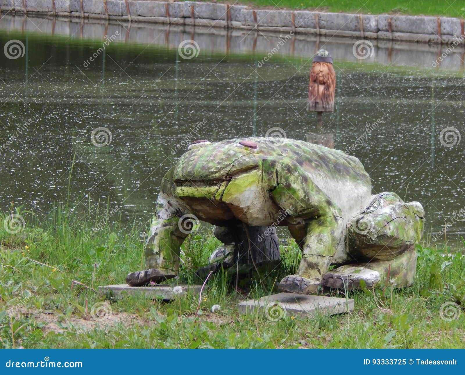 Giant frog stock image. Image of frog, breeding, countryside - 93333725