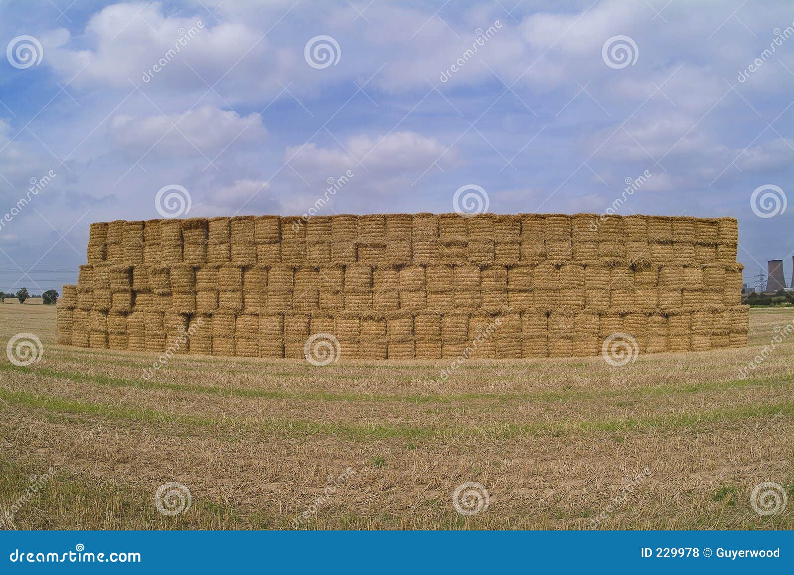 Giant haystack in field stock photo. Image of stack, typical - 229978