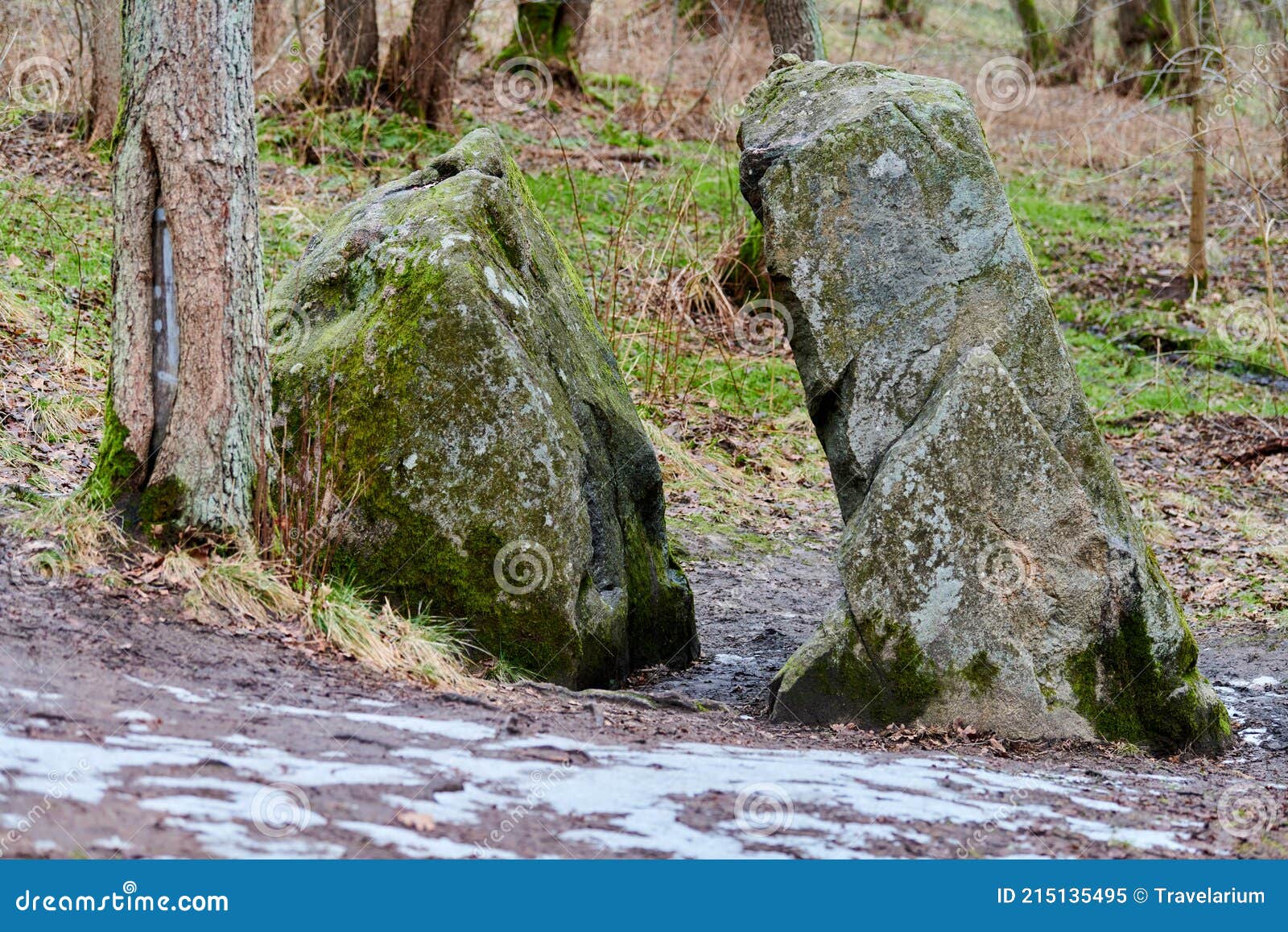 Giant Hemispherical Stone Split into Two Parts in Forest Stock Image ...