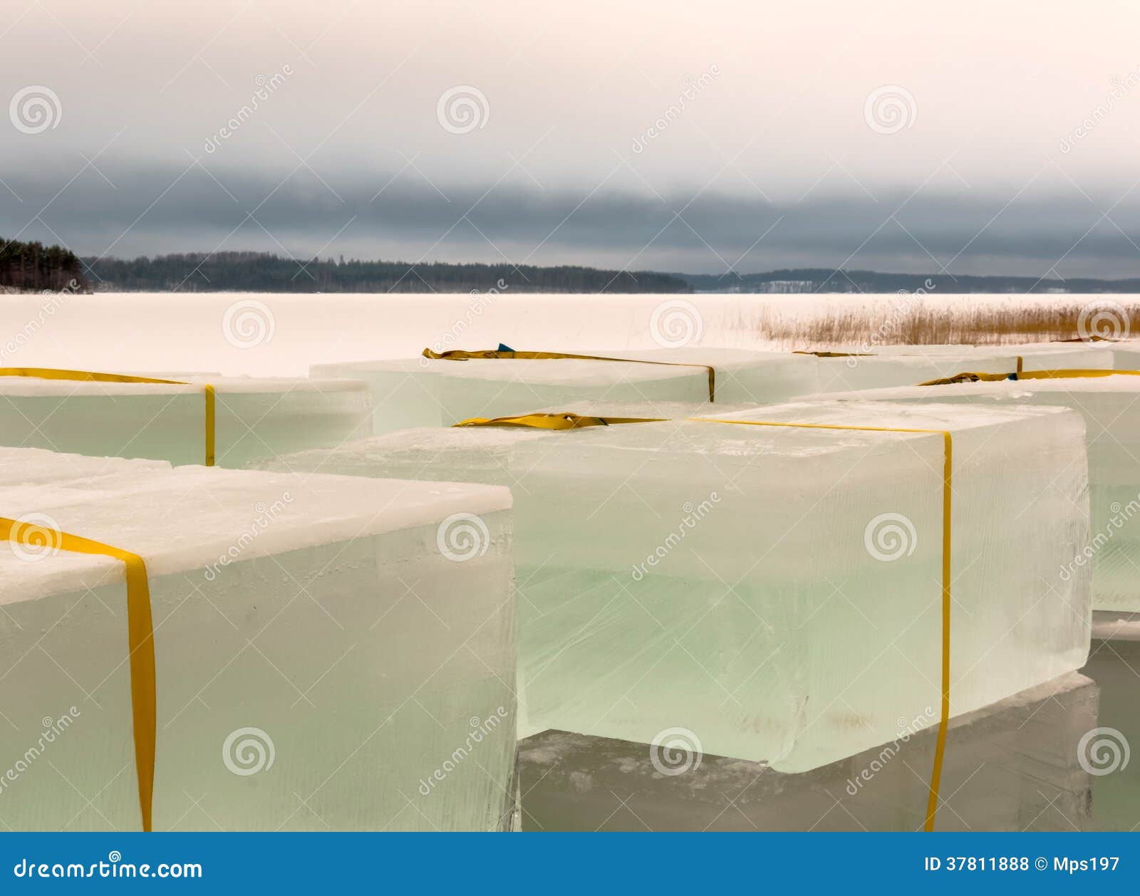 Giant ice cubes stock photo. Image of stacked, huge, cloudy - 37811888
