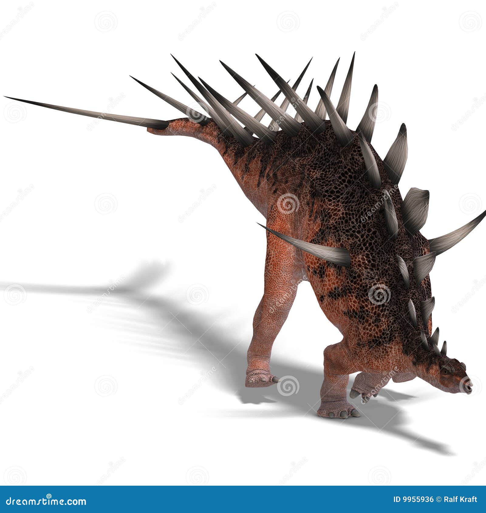 Giant Kentrosaurus Dinosaur Stock Illustration - Illustration of ...