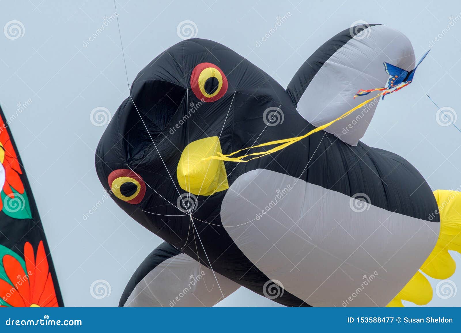 Small Kites Big Kite Stock Photos - Free & Royalty-Free Stock Photos ...