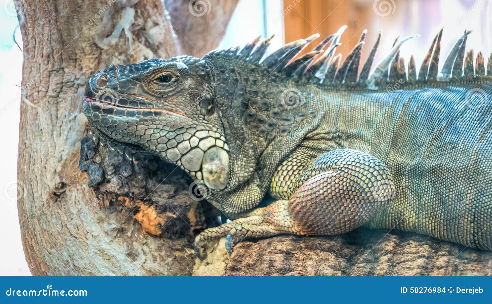 Giant Lizard On A Garbage Dump Royalty-Free Stock Photo | CartoonDealer ...