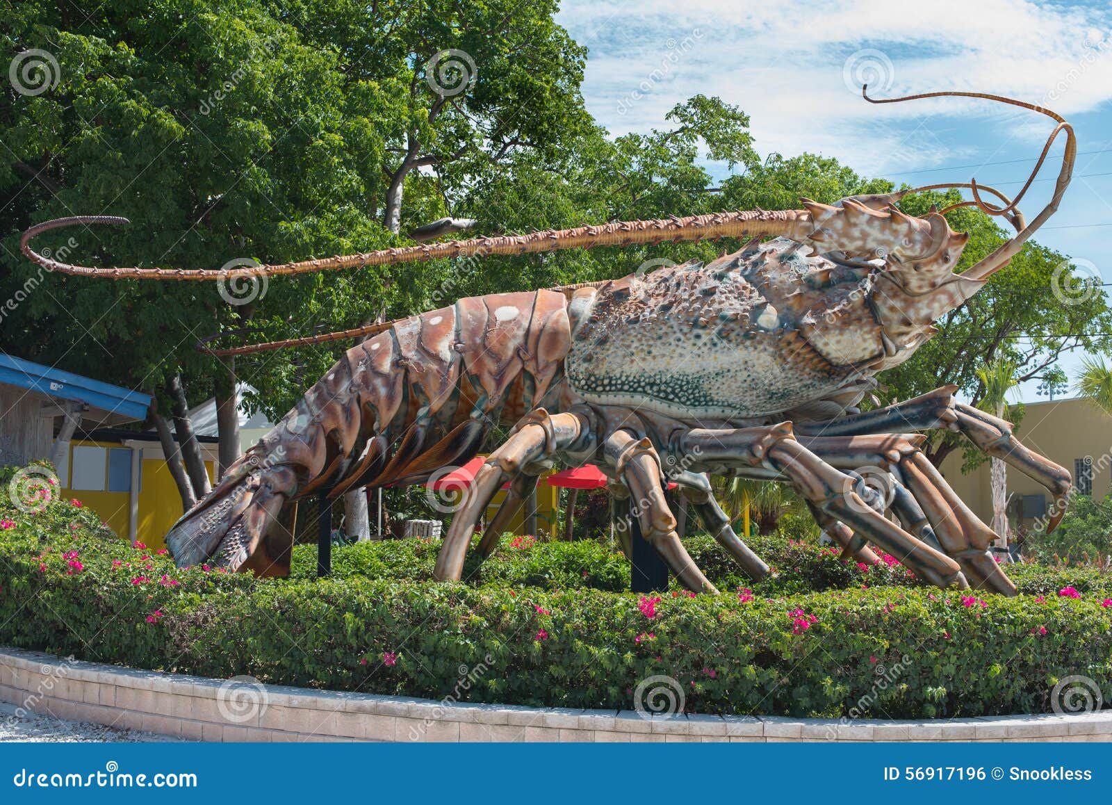 Giant Lobster stock photo. Image of shell, freshness - 56917196