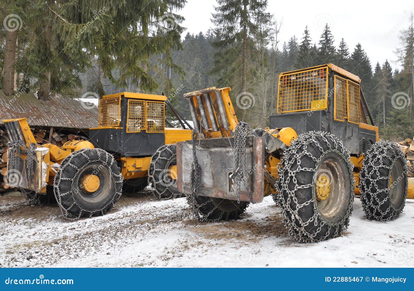 Giant Logging Vehicles in the Winter Forest Stock Image - Image of ...