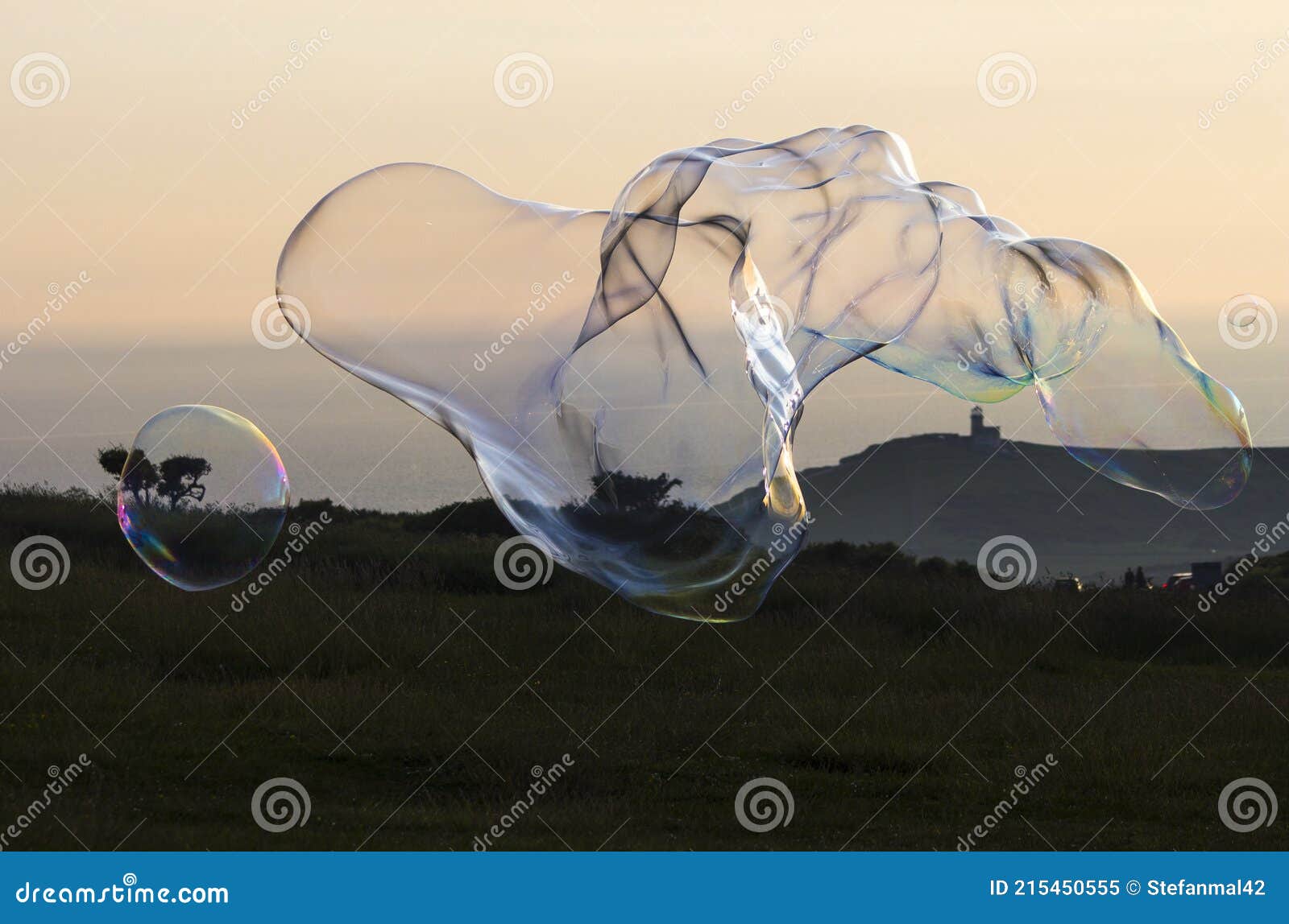 Giant Soap Bubble Creature Reflecting Iridescent Rainbow Colours during ...
