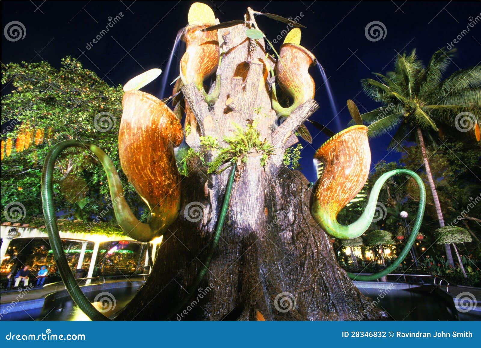 Giant Monkey Pod Tree Editorial Photo | CartoonDealer.com #114767447