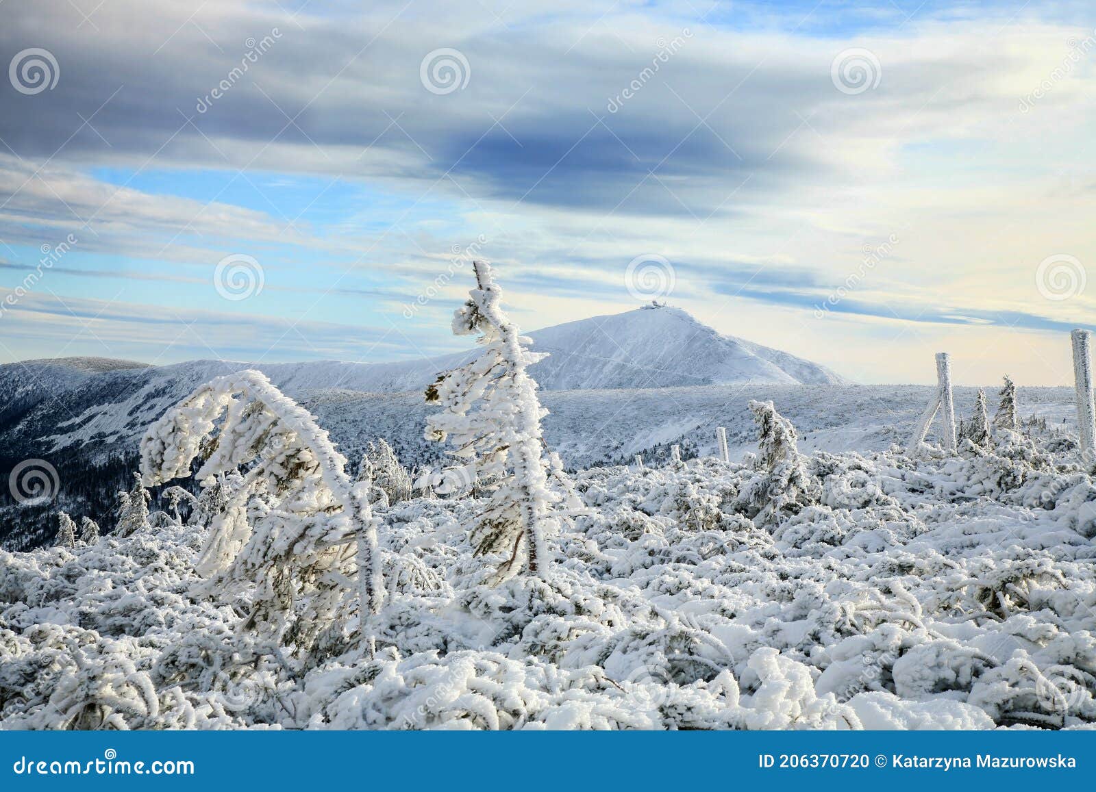 Giant Mountains, Karkonosze Mountains with Highest Sniezka Peak. Stock ... Giant Mountains, Karkonosze Mountains with Highest Sniezka Peak. Stock ...